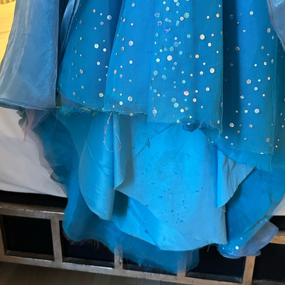 Costumes | Custom Cinderella Gown Costume With 3d Butterfly Details On ...